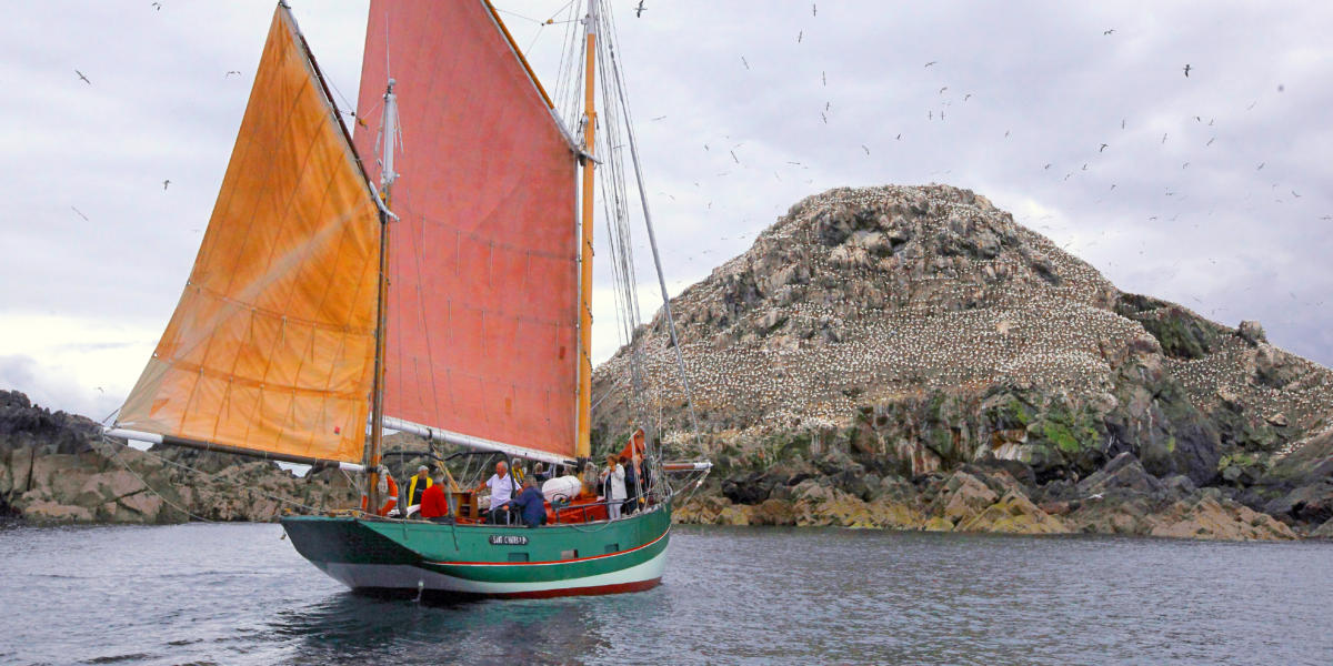 The Sept-Iles archipelago | Brittany tourism