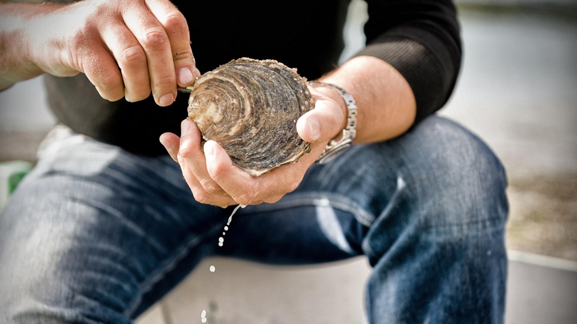 Palet breton – Biscotti al burro salato bretoni | Tourisme Bretagne