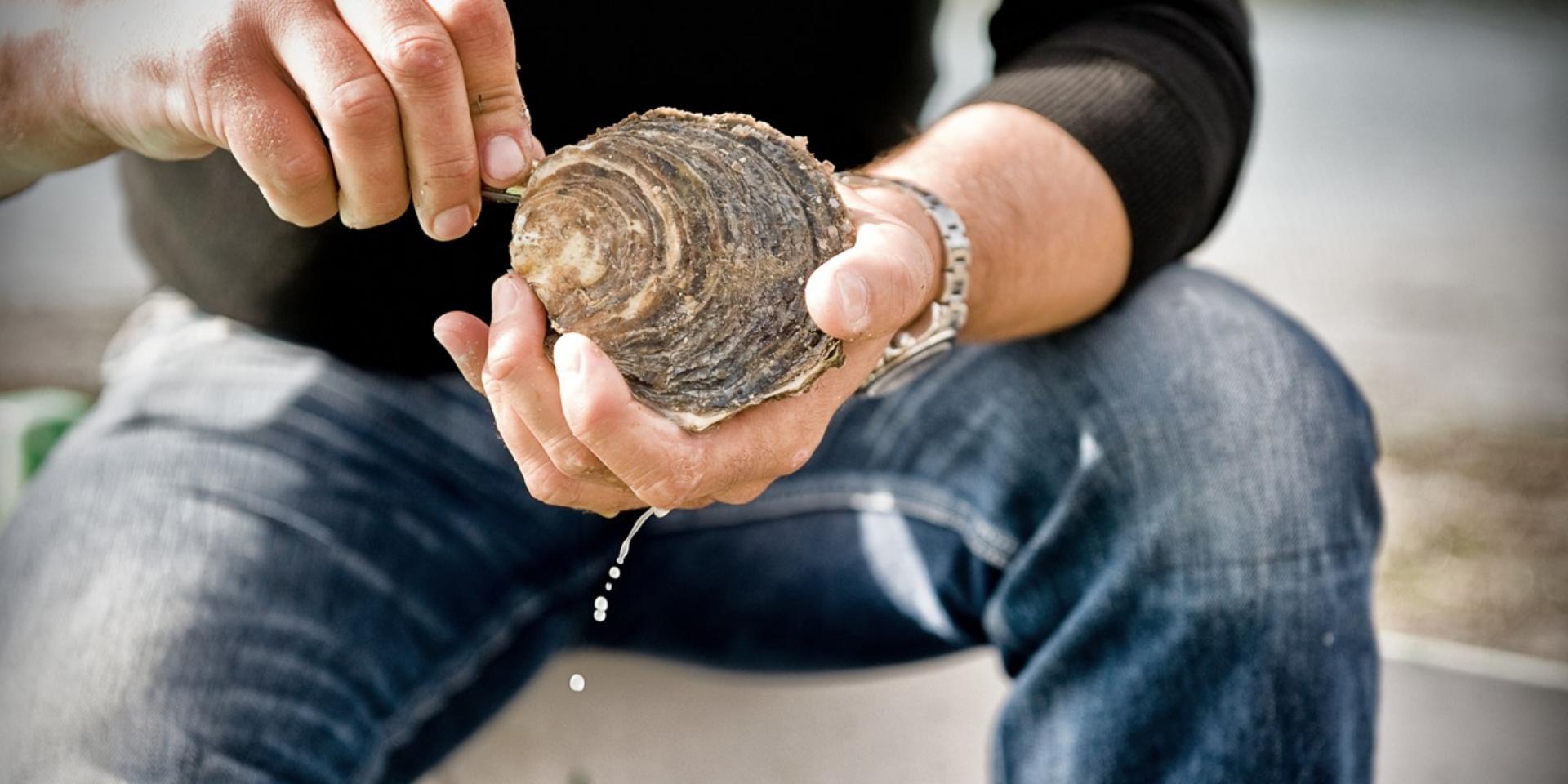 Les produits de la mer en Bretagne
