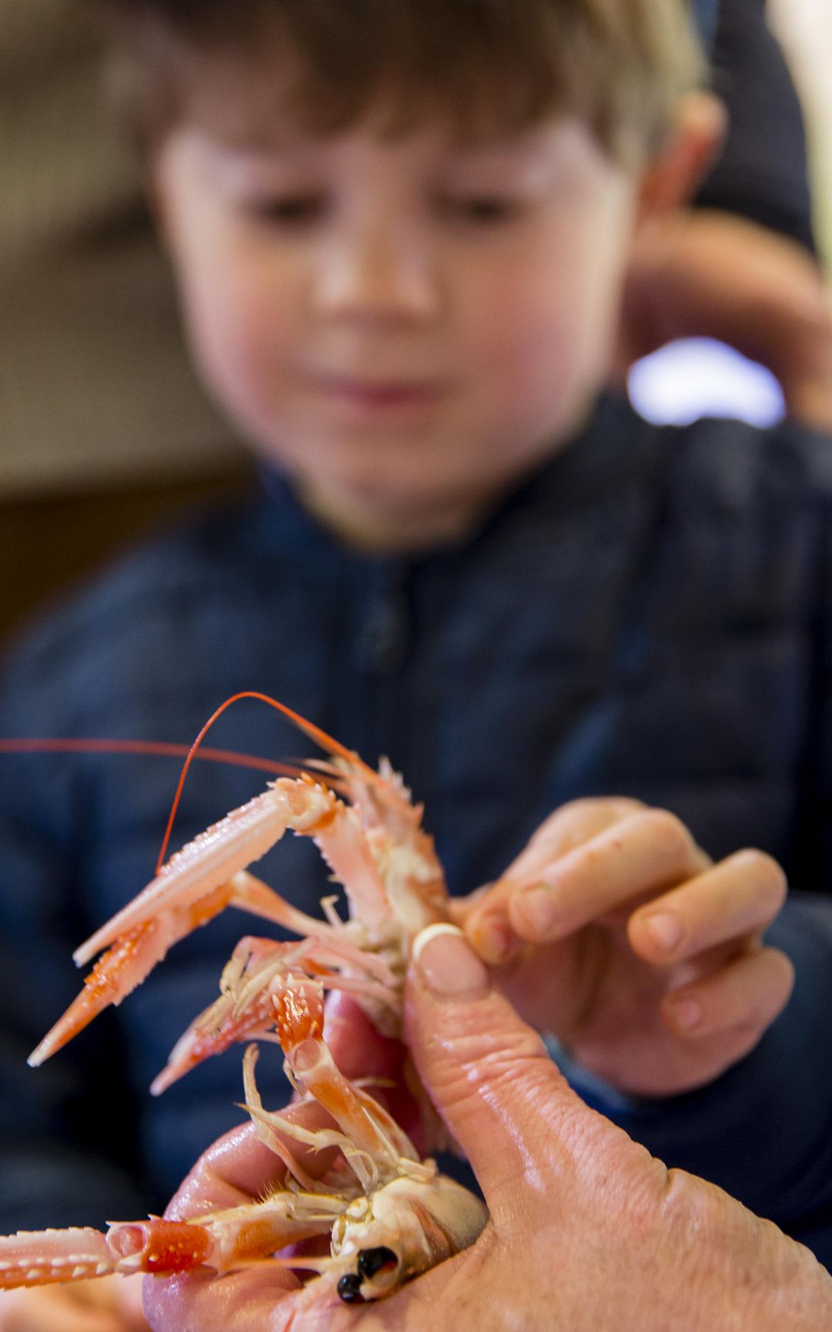 Langoest | Tourisme Bretagne