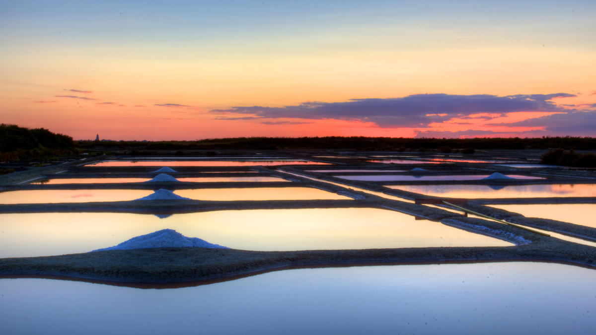 Tochten door de moerasgebieden van Bretagne | Tourisme Bretagne