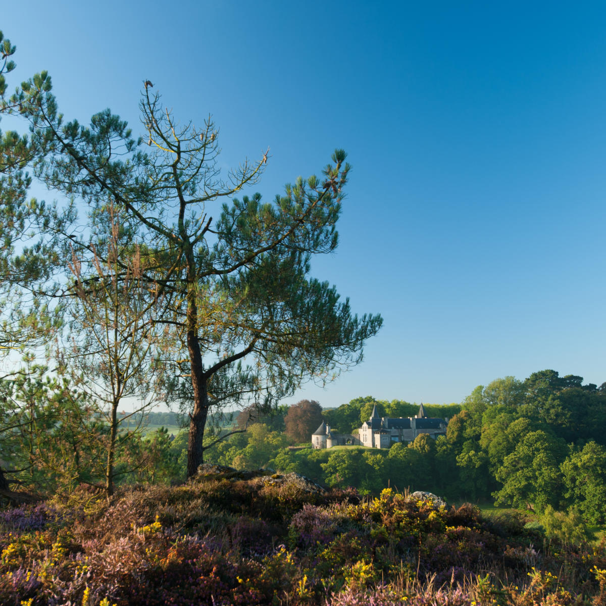 Die Insel Groix | Tourisme Bretagne