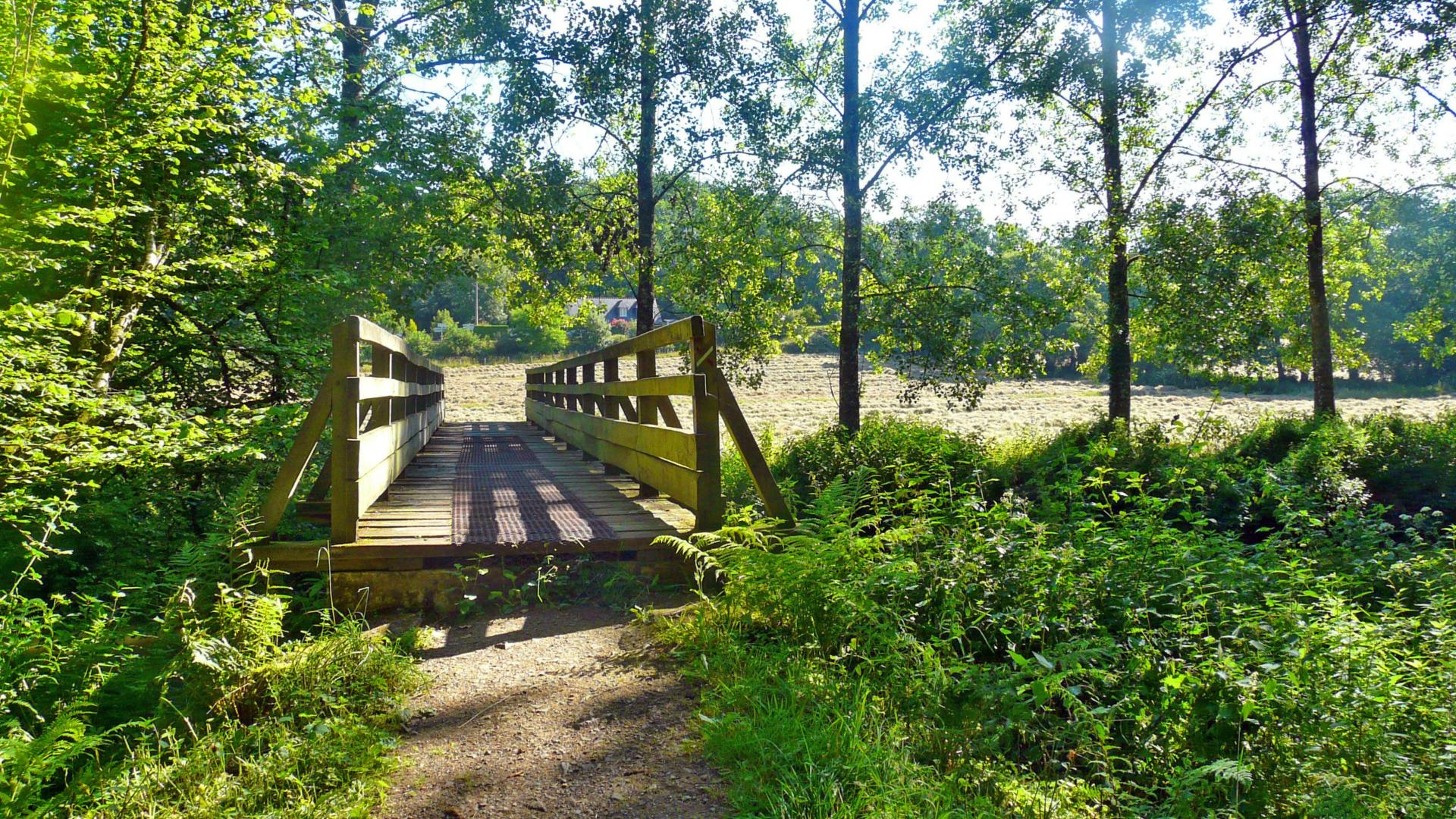 10 great ideas for forest walks | Brittany tourism