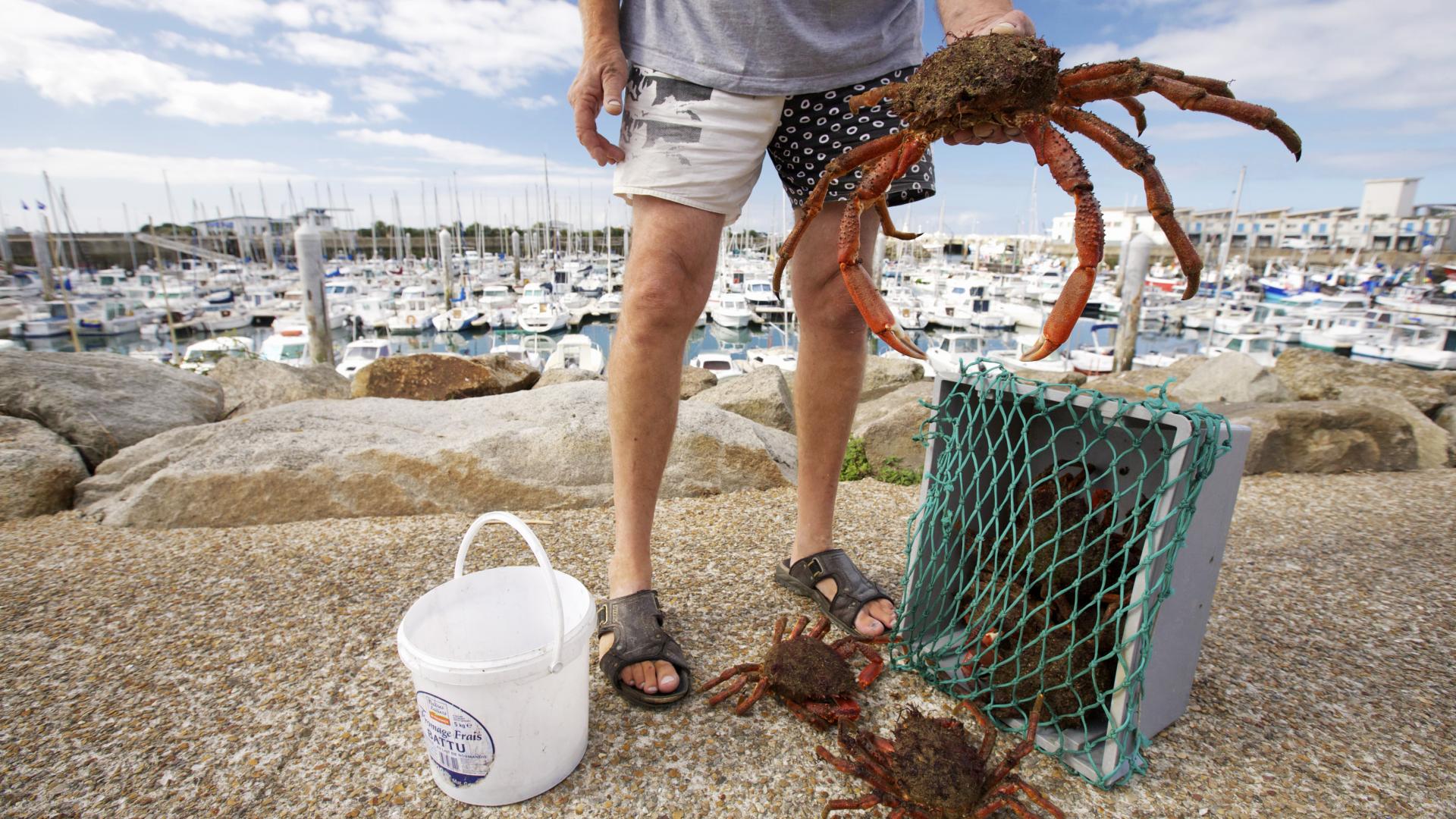 Meander along the Loire estuary to the rhythm of the water and art ...