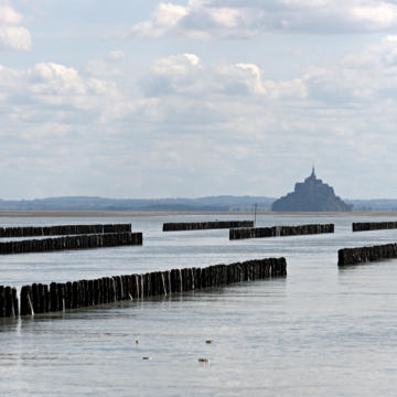 „Moules de bouchot“ – Zuchtmuscheln von den Muschelbänken | Tourisme ...
