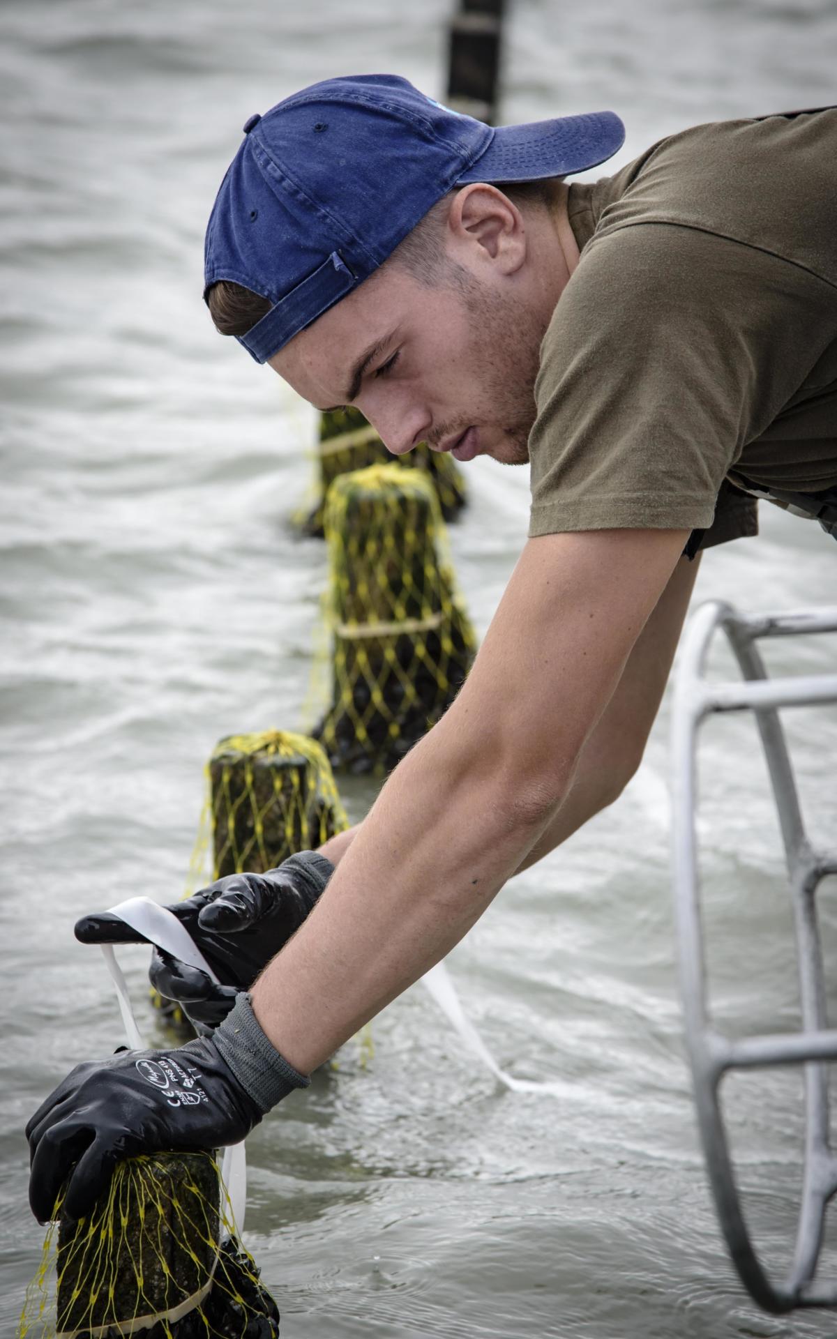 „Moules de bouchot“ – Zuchtmuscheln von den Muschelbänken | Tourisme ...