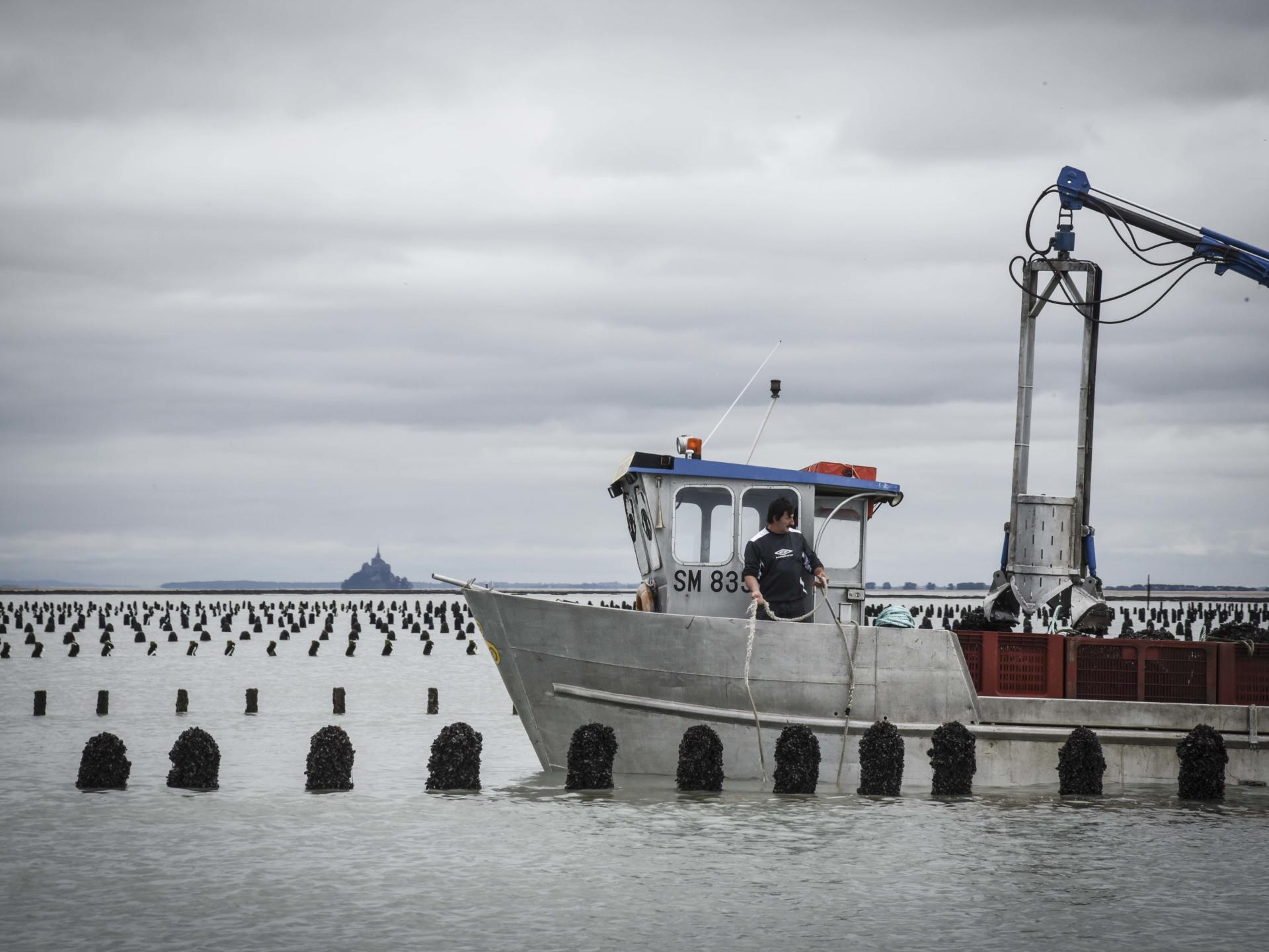 „Moules de bouchot“ – Zuchtmuscheln von den Muschelbänken | Tourisme ...