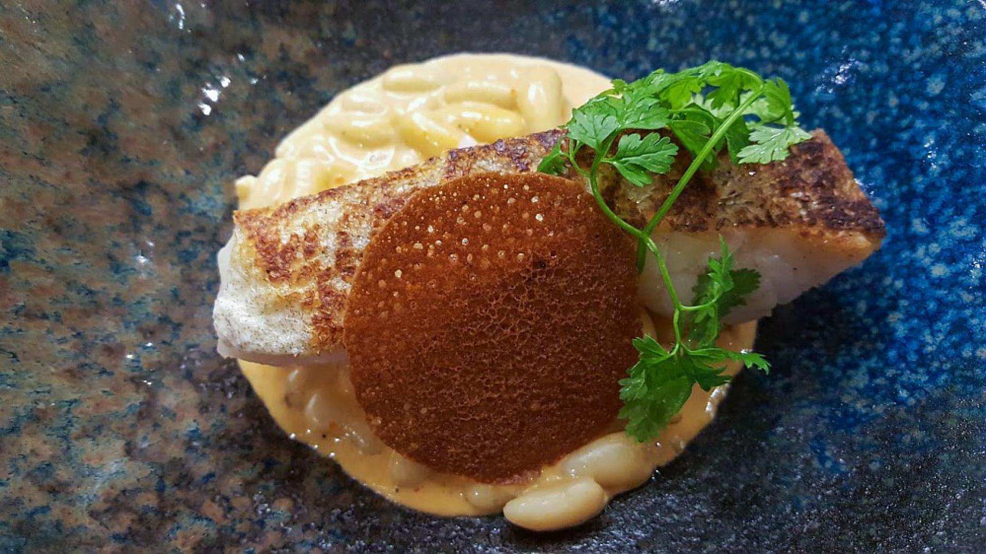 Geangelter Seebarsch | Tourisme Bretagne