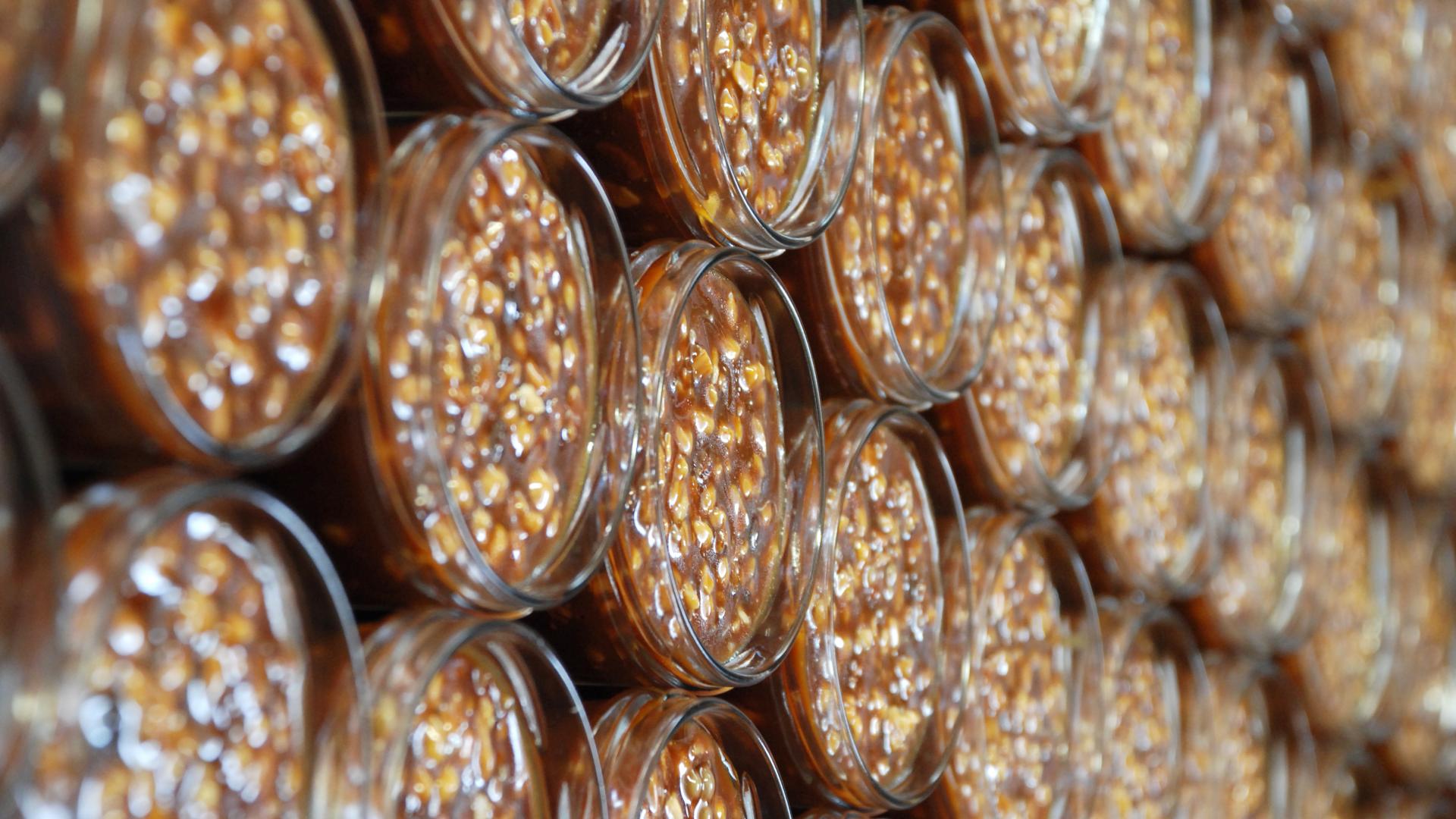 Marine flavours on the Goëlo coast | Brittany tourism