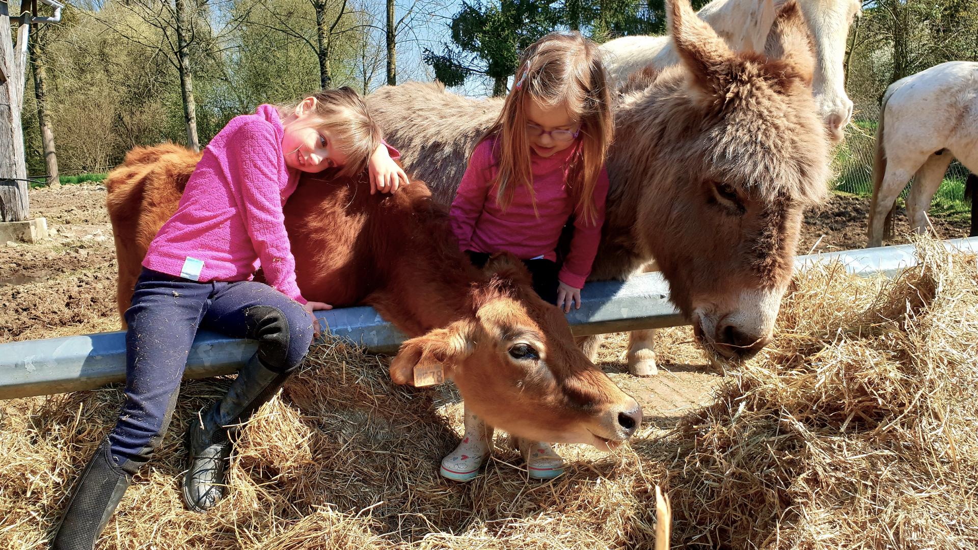 Mit der Familie auf dem Bauernhof | Tourisme Bretagne