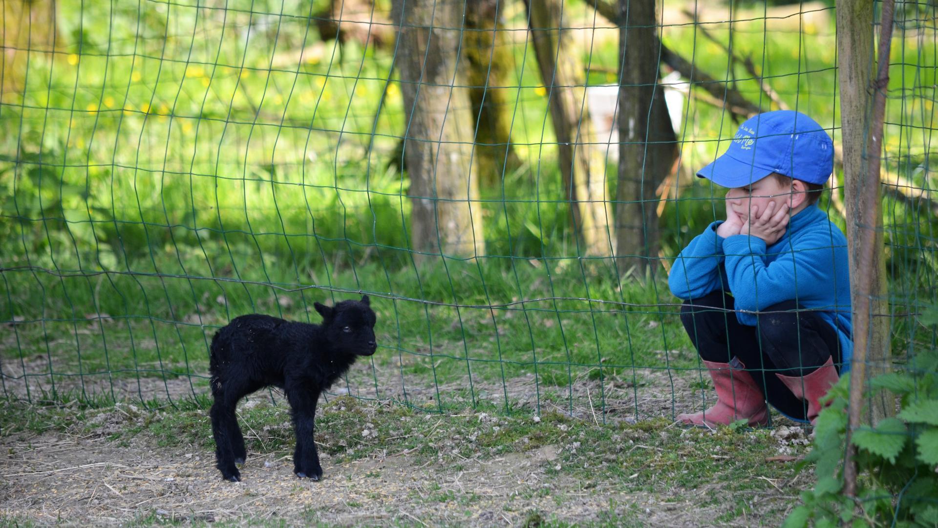 Vacances à la ferme | Tourisme Bretagne