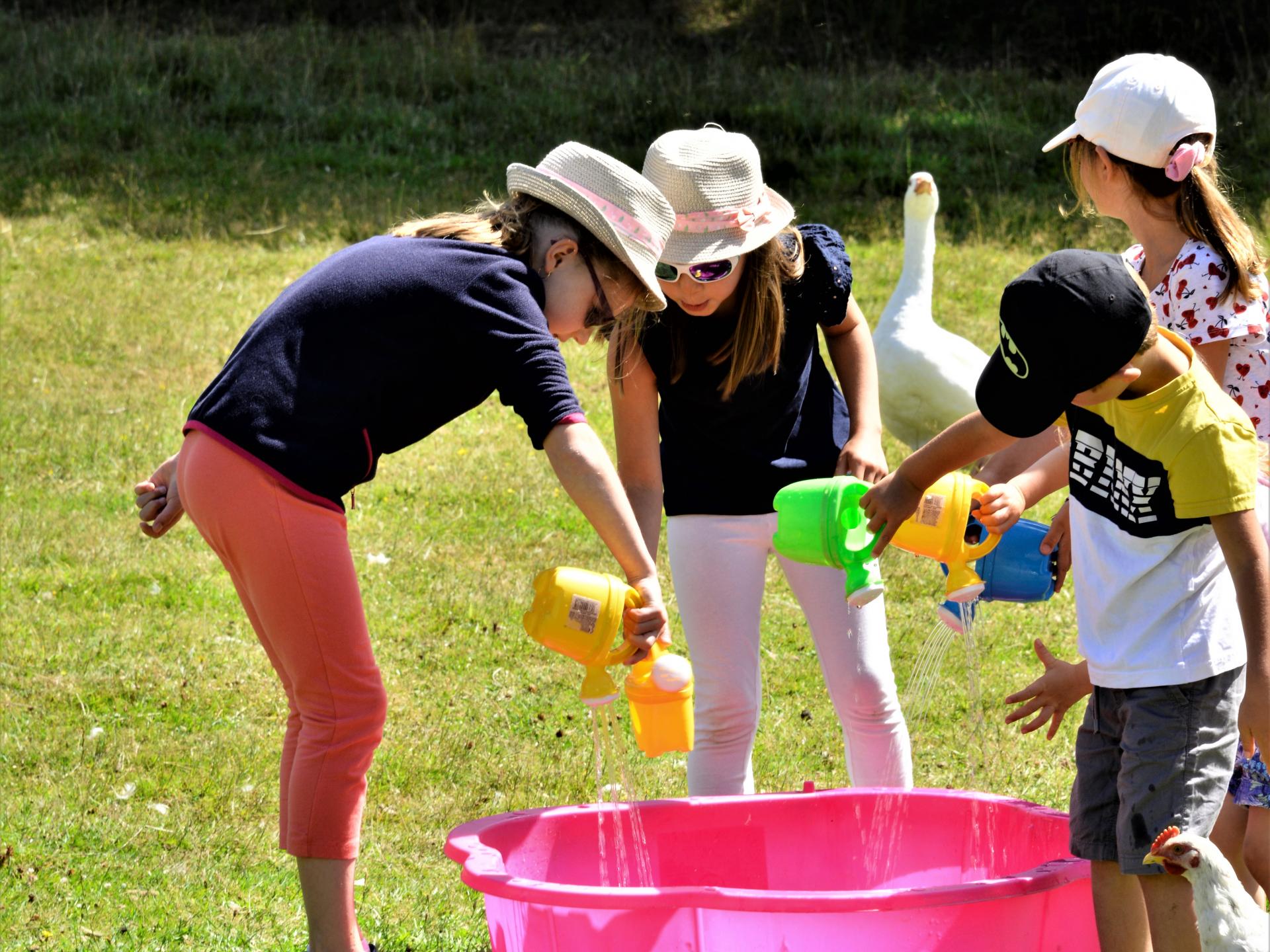 Family farm fun | Brittany tourism