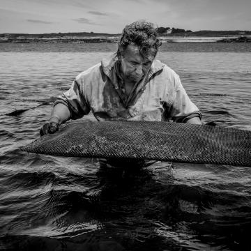 Flavours of the sea on the Côte des Légendes | Brittany tourism