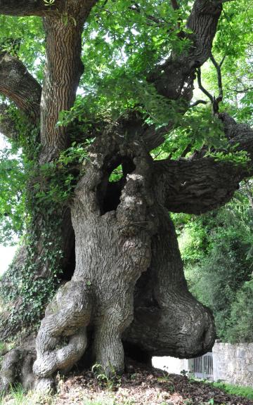 Locmalo | Tourisme Bretagne