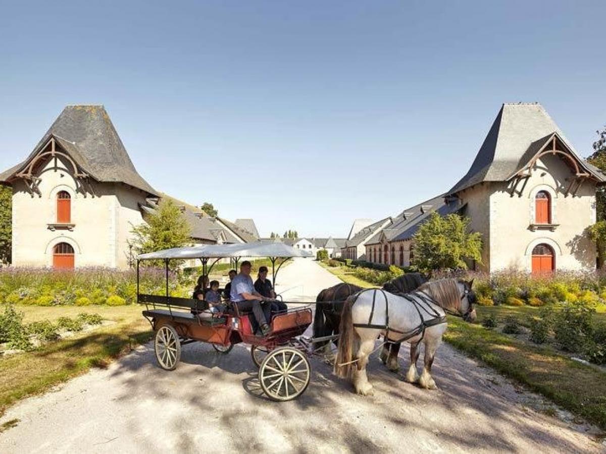 Lamballe | Tourisme Bretagne