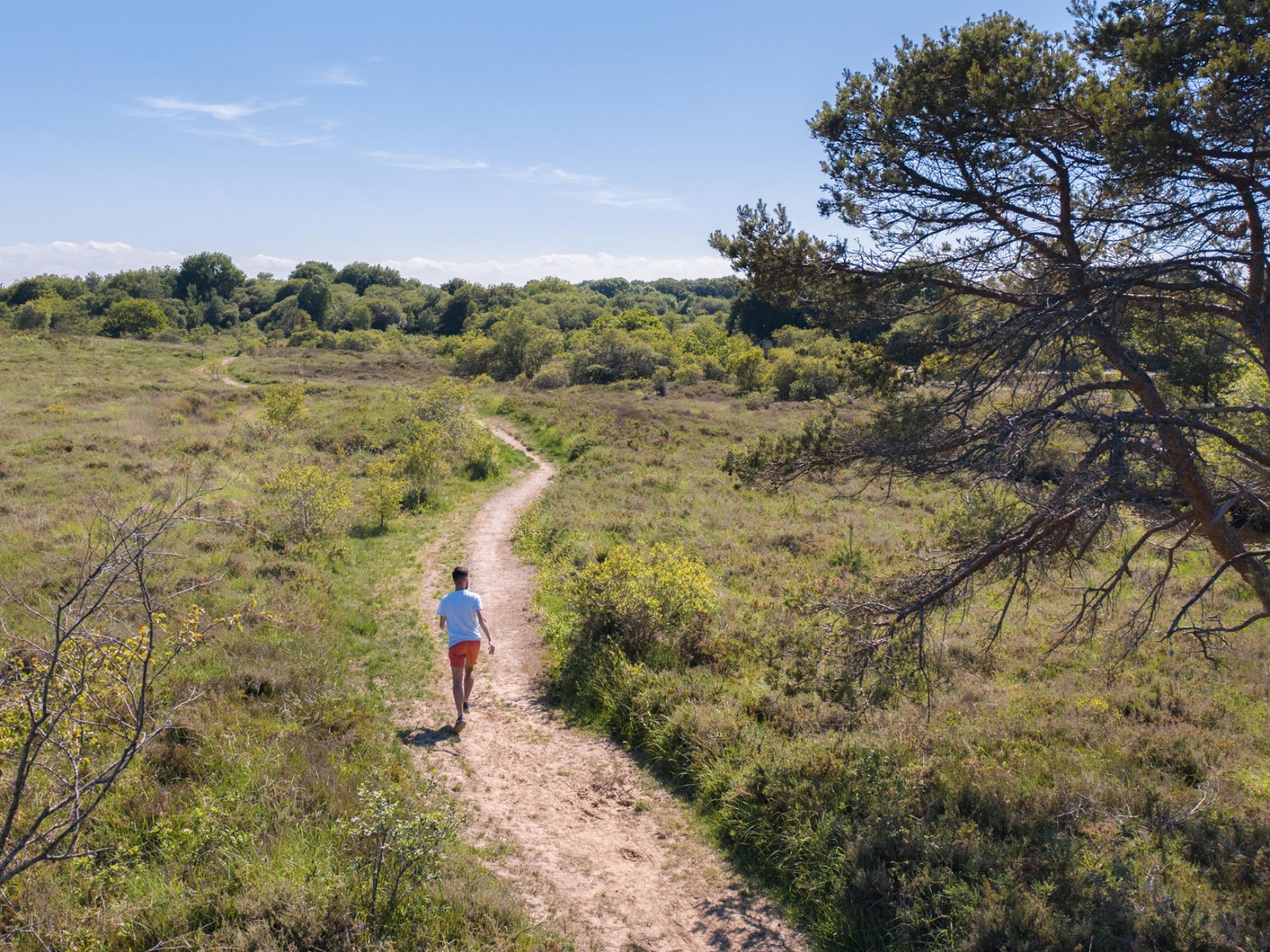 Lamballe | Brittany tourism