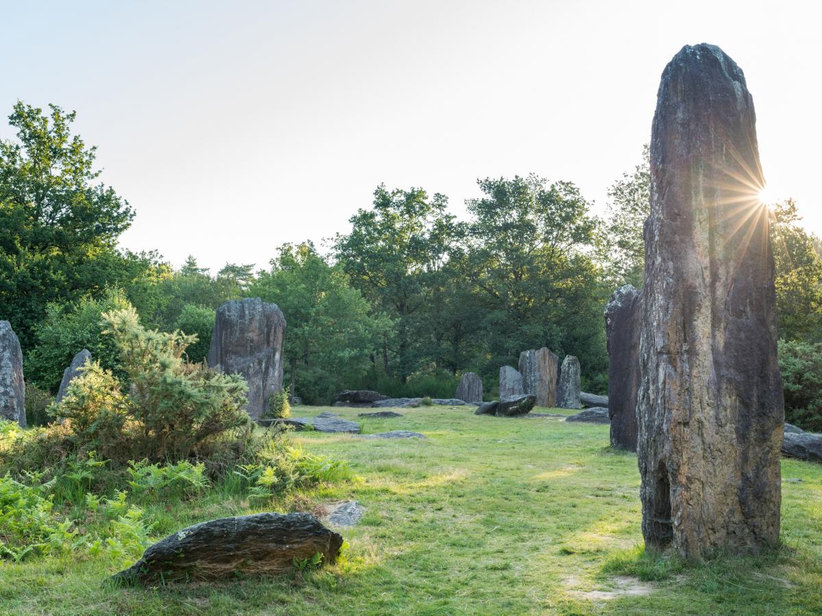 De Heidevelden en menhirs van Monteneuf | Tourisme Bretagne