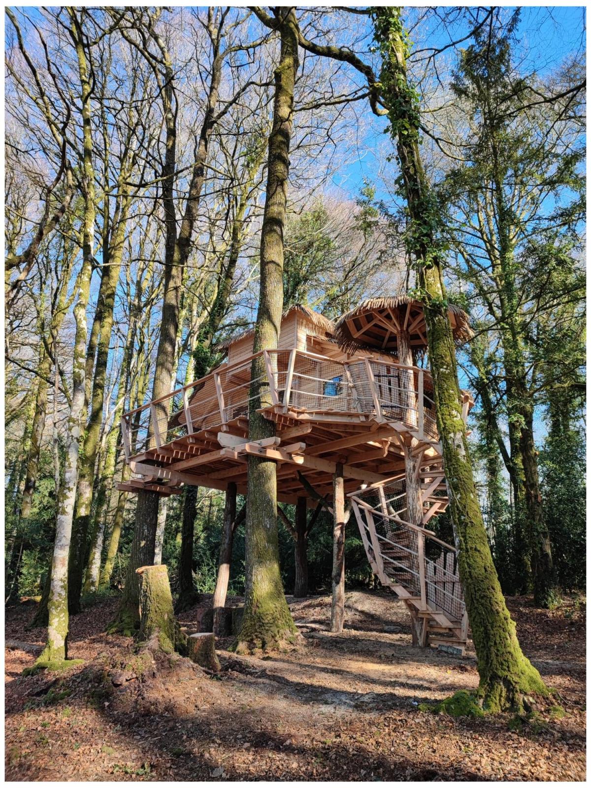 5 kindvriendelijke ecolodges voor een perfecte groene vakantie ...