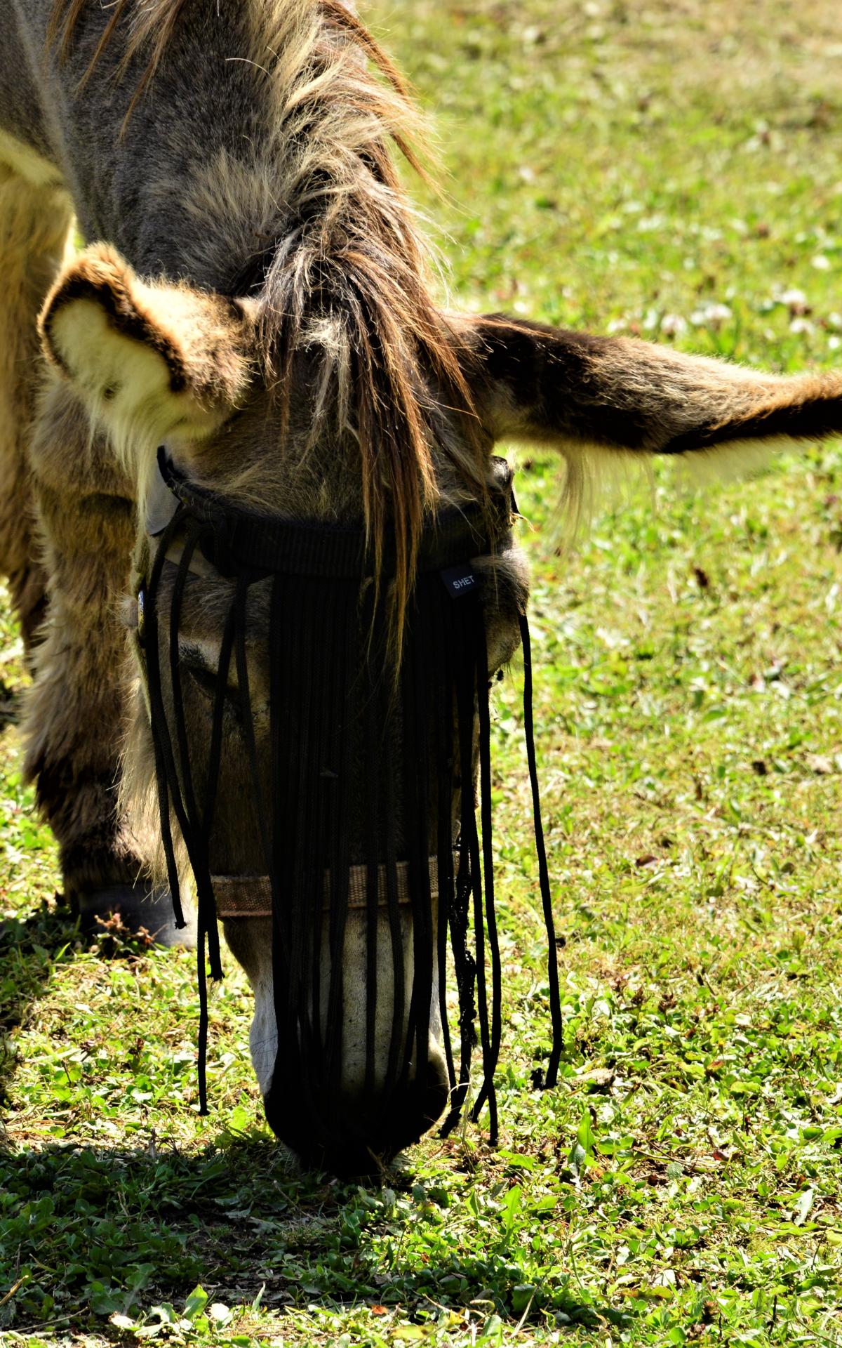 Vacances à la ferme | Tourisme Bretagne
