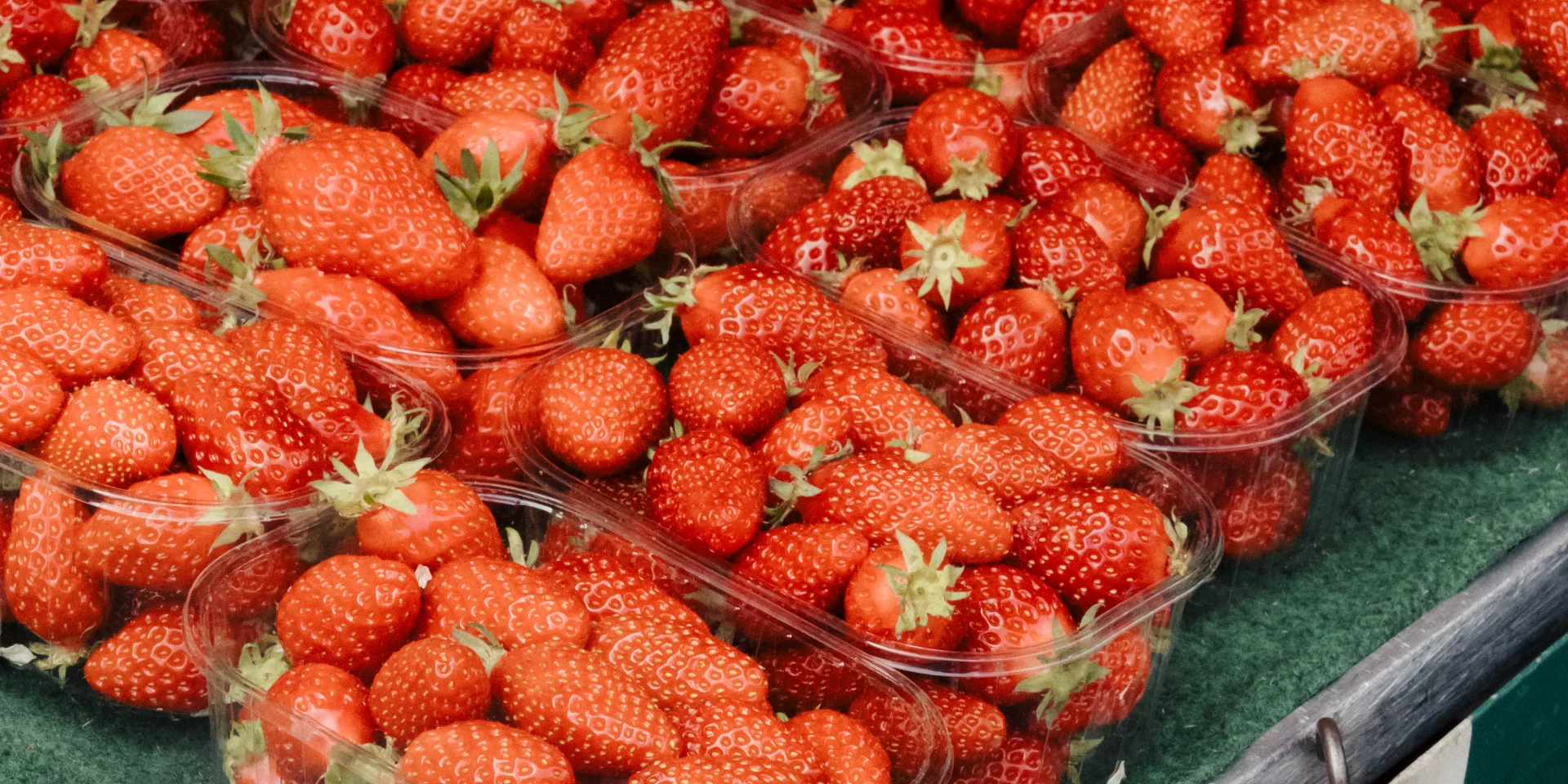 Fraises de Plougastel et d’ailleurs en Bretagne