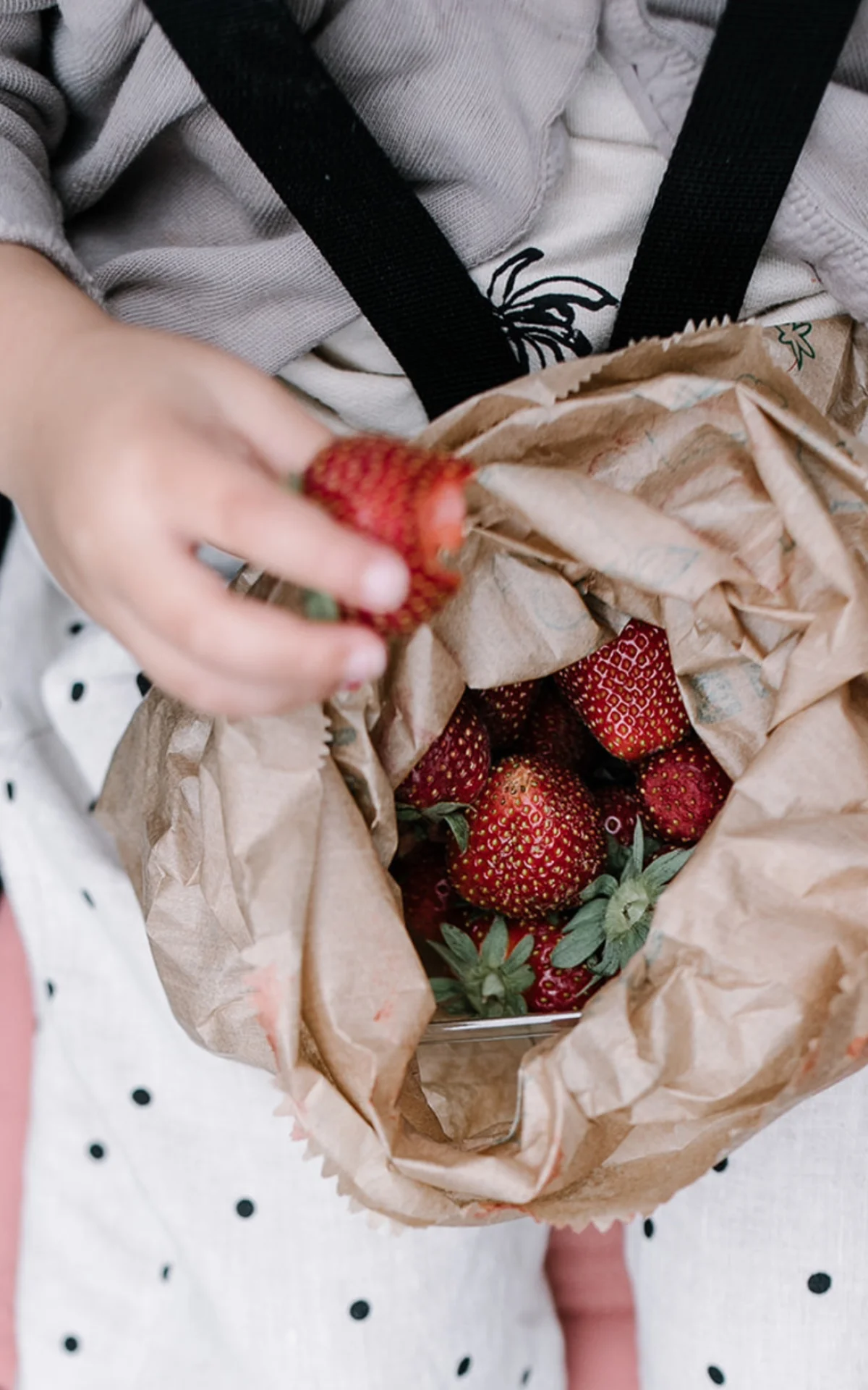 Fraises de Plougastel et d’ailleurs en Bretagne